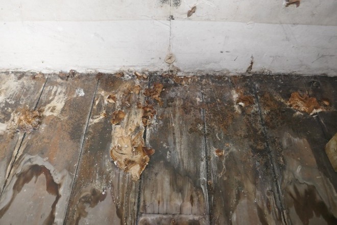 What is Dry Rot? - News - Bradley-Mason LLP